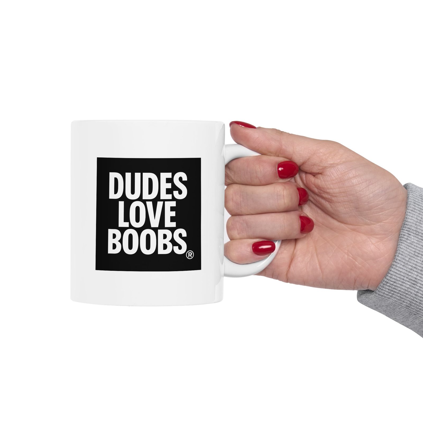 DUDES LOVE BOOBS® Brand Ceramic Mug — “Everyone CAN agree”, funny quote ...